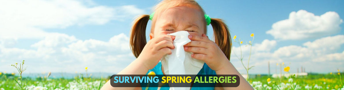 Spring Allergies: Causes, Symptoms and Cure — Dr Trust